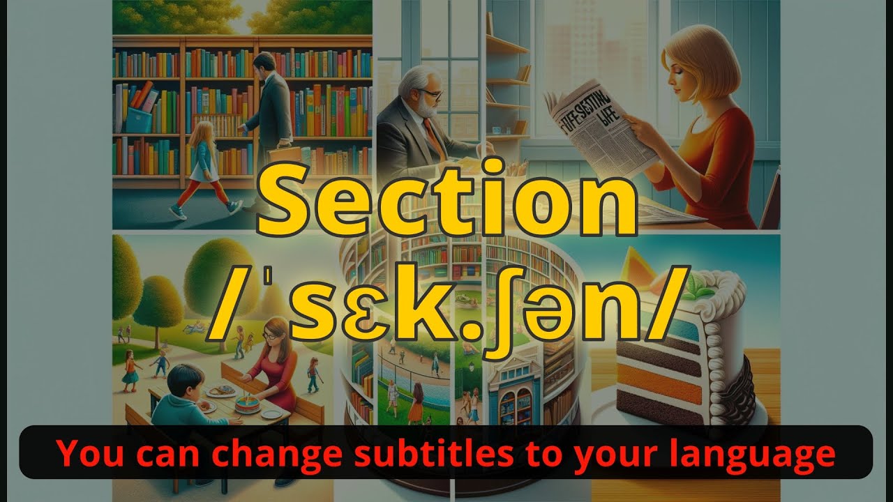 Section meaning with 5 examples