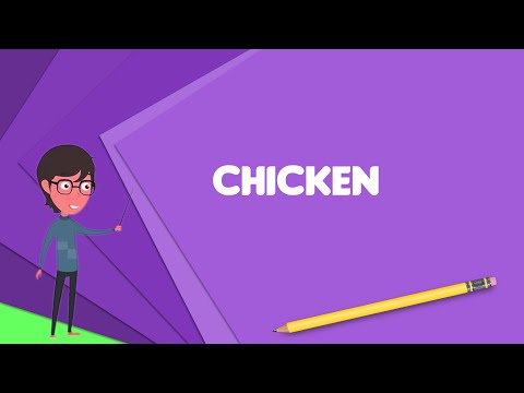 What is Chicken? Explain Chicken, Define Chicken, Meaning of Chicken