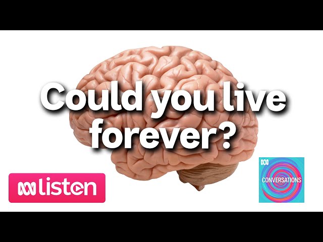 Exploring the Future of Brain Preservation and Consciousness | Galaxy