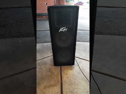 How good does the Peavey PV 215 sound