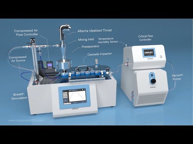 예사이언스 VIDEOS