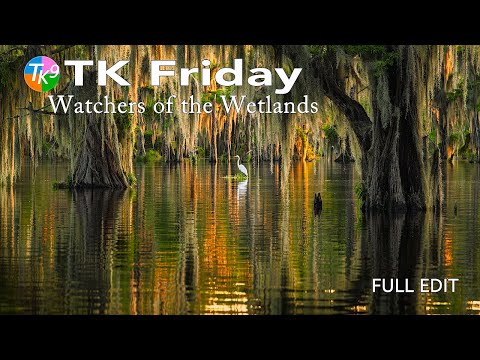 TK FRIDAY (Watchers of the Wetlands) FULL EDIT (With Image and PDF Notes Downloads)