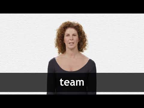 TEAM definición y significado | Diccionario Inglés Collins