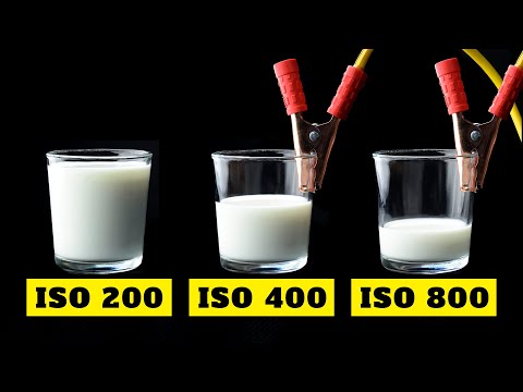 ISO Explained - ISO Secrets Every Photographer Must Know
