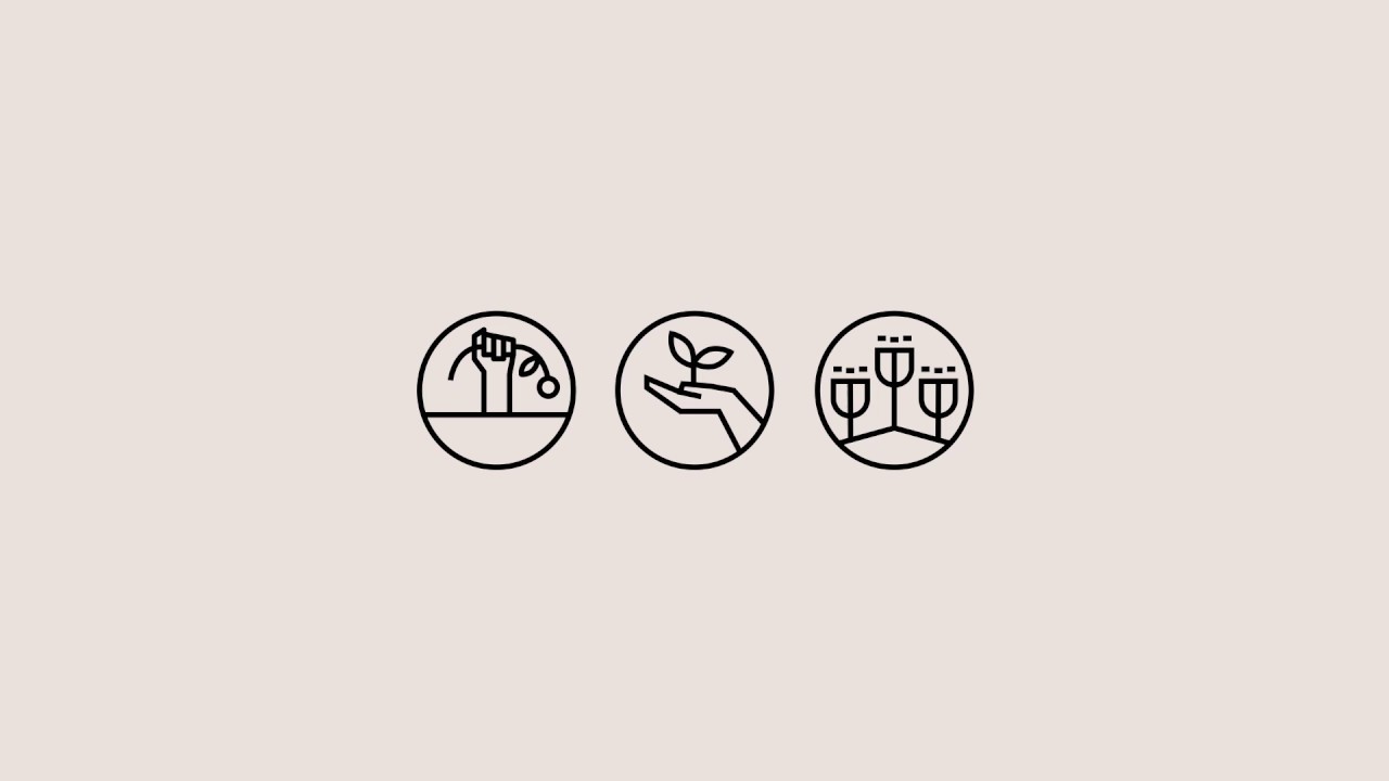 Good Vibes Animated Icon Logo Set for Creative Market