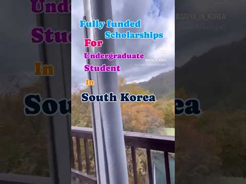 Fully Funded scholarships for undergraduate students in South Korea. #scholarships #southkorea