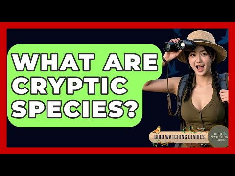 What Are Cryptic Species? - Bird Watching Diaries