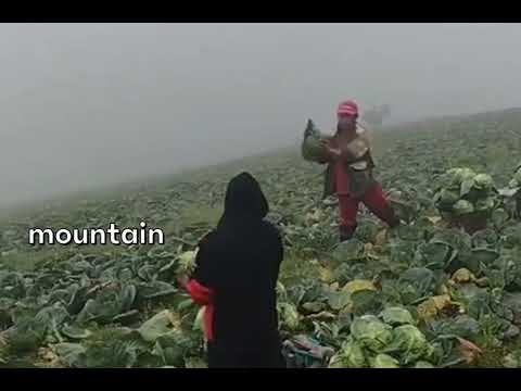 Sweat of the Mountain - AI Salidumay