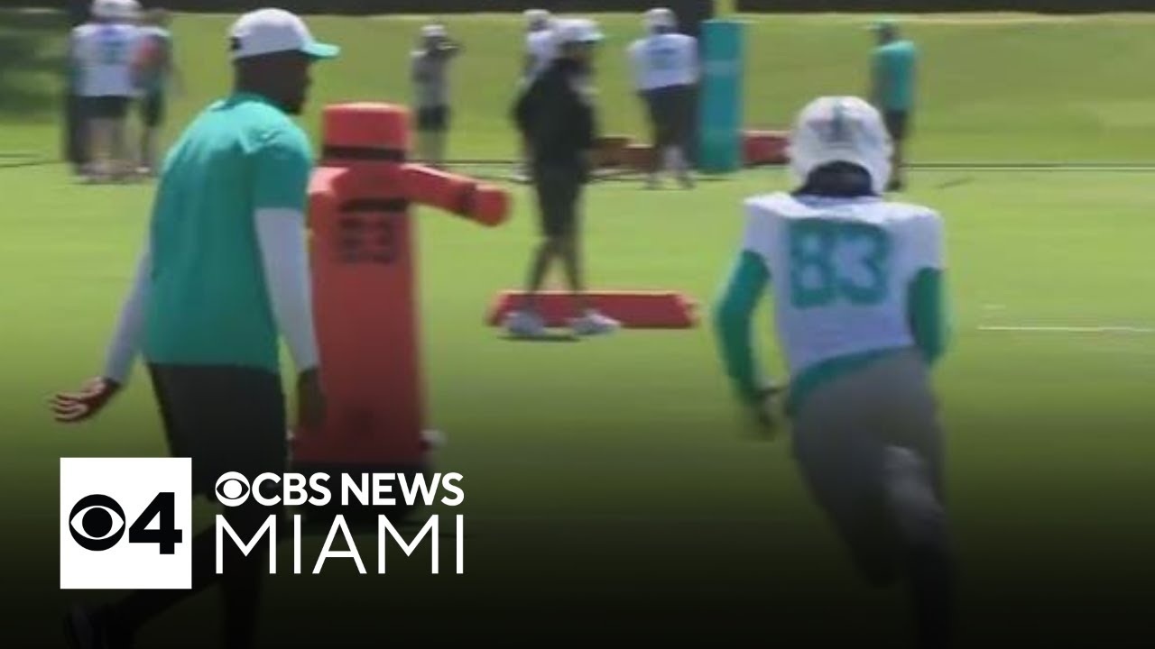 New members of the Miami Dolphins gear up