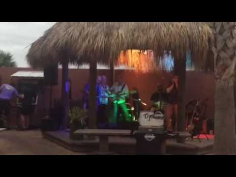 Donna Hall - Music Profile | BANDMINE.COM