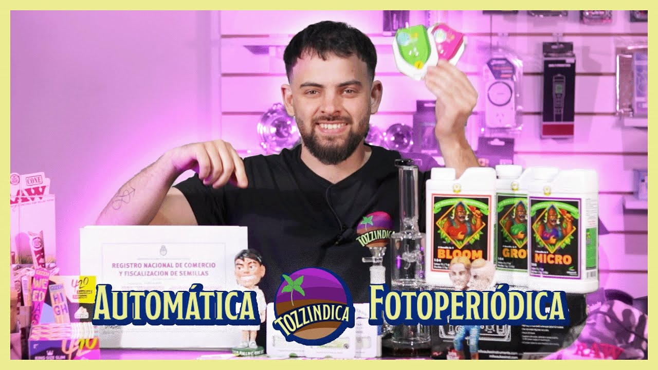 DIFERENCIA ENTRE AUTOMATICAS Y FOTOPERIODICAS