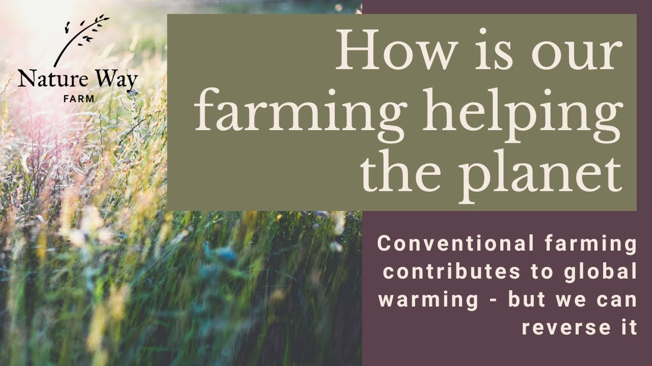 How farming can reverse global warming (and change the world)