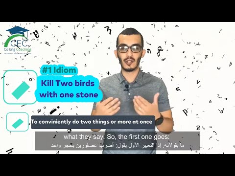 Kill two birds with one stone (Idioms) ESL (Less than a minute)