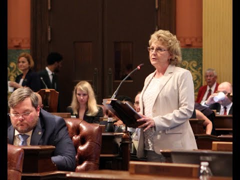 Rep. Pam Faris Offers Amendment to "Choose Life" License Plate