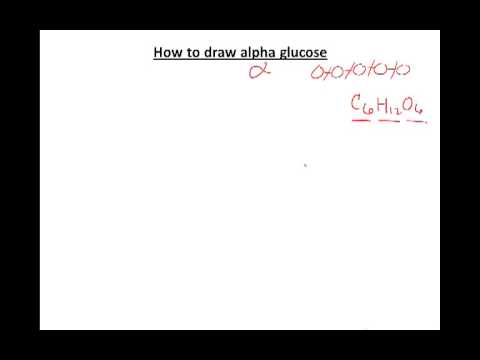 alphaGlucose IB Bio 1