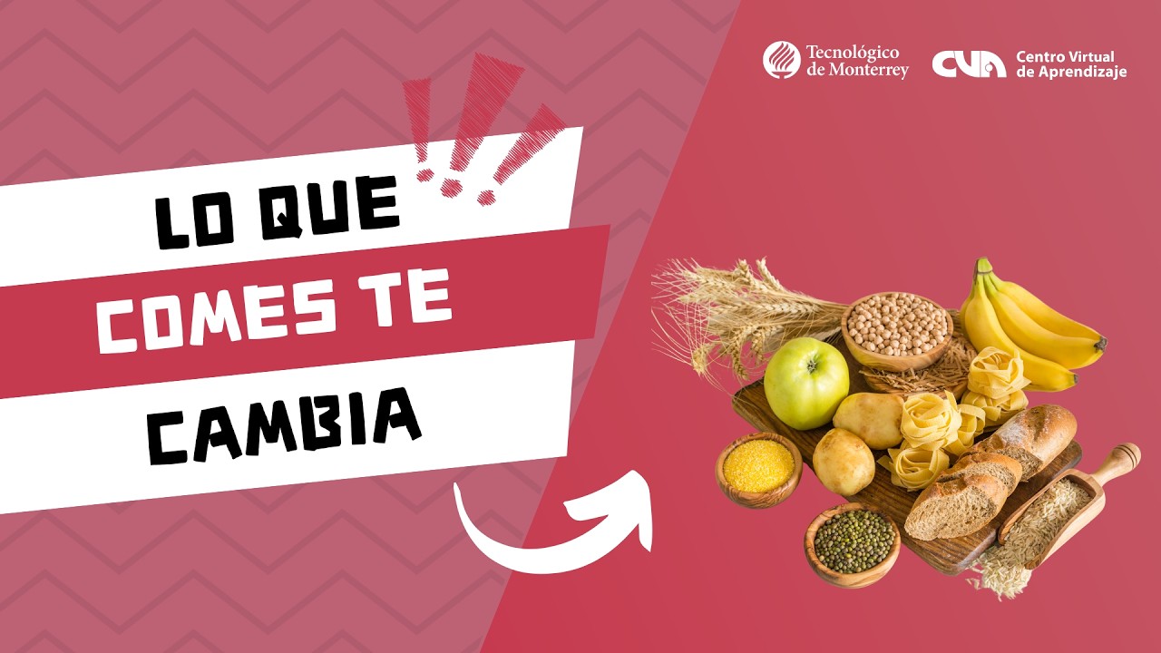 La Química de los Alimentos: Cómo los Compuestos Influyen en tu Nutrición y Salud