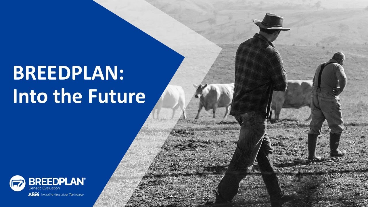 BREEDPLAN: Into the Future