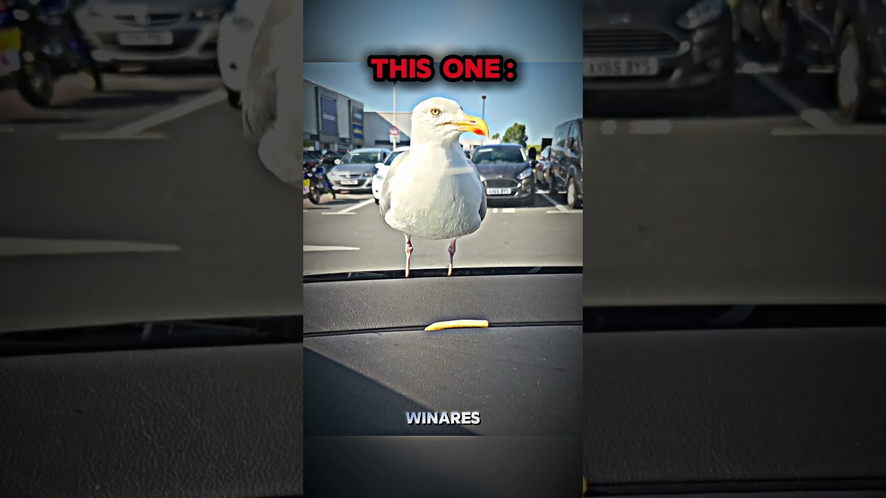 bro is built different #edit #trollface #troll