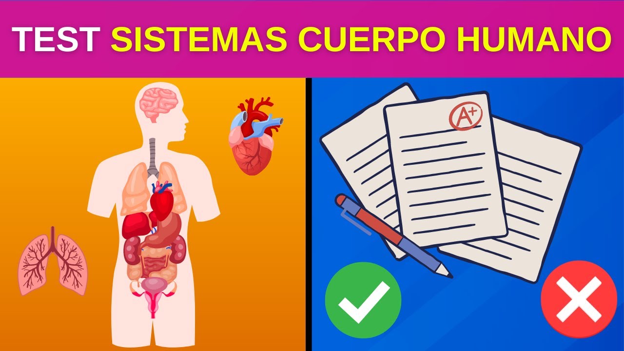 : [DESAFÍO]🤯 ¿CUÁNTO SABES? ¡¡25 Preguntas sobre Sistemas del Cuerpo Humano!! 🦴🧠🧍‍♂️📚