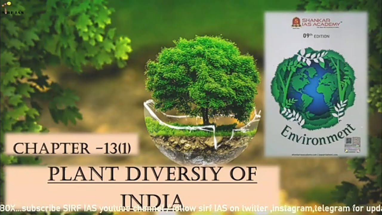 Understanding Plant Diversity in India: A Comprehensive Overview ...