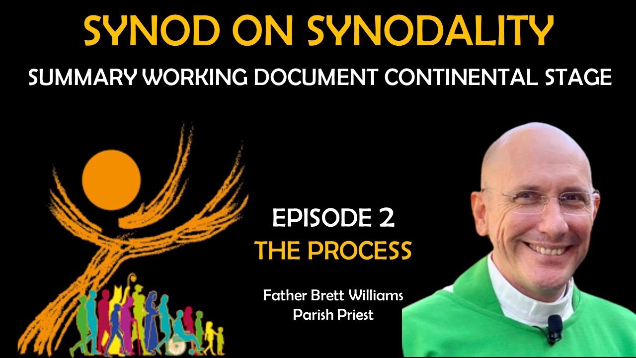 EPISODE 2 - Summary of Synod Continental Working Document - Father Brett Williams