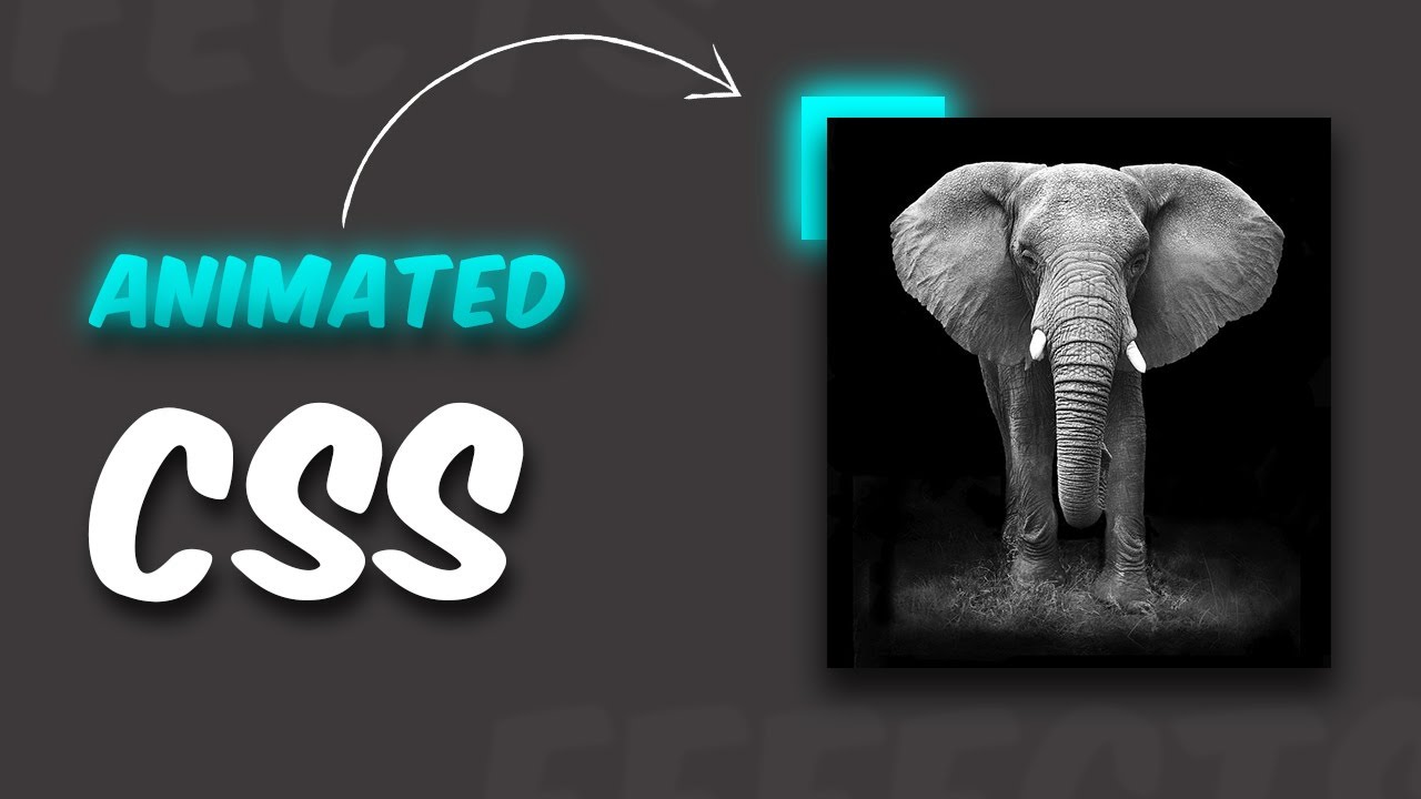 CSS Animation Effect Tutorial | Animated Border with HTML & CSS