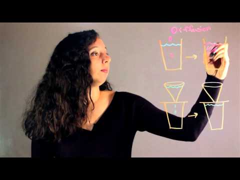 What's an Example of Filtration Diffusion in Everyday Life? : Chemistry Rundown