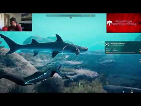 Lets Play Beyond Blue a Very Cool indie Underwater Adventure Science Game Pt 1