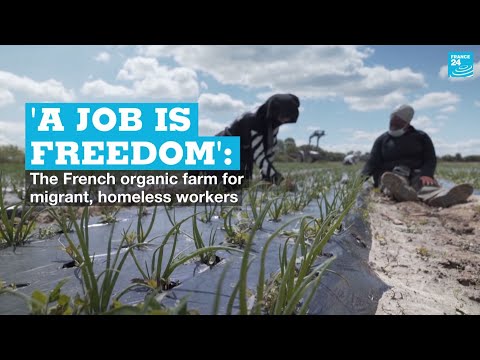 'A job is freedom': The French organic farm for migrant, homeless workers
