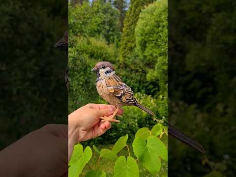 Tree Sparrow made of toilet paper rolls (mostly) ๐ #cardboard #diy #paperart #sparrow