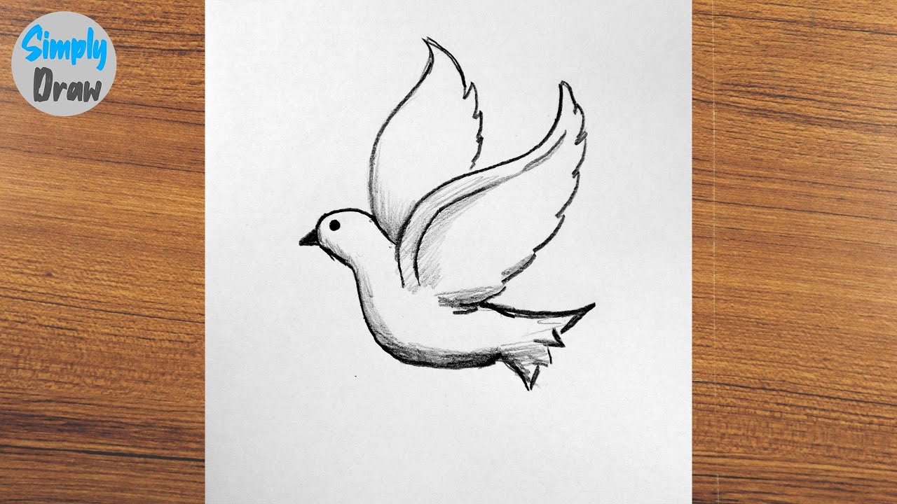 How to draw bird flying Step by step Easy