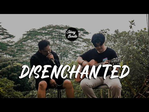 My Chemical Romance - Disenchanted (Acoustic Cover by Skinny Bundle)