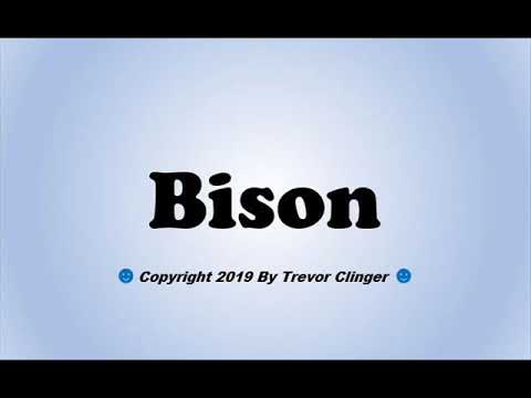How To Pronounce Bison