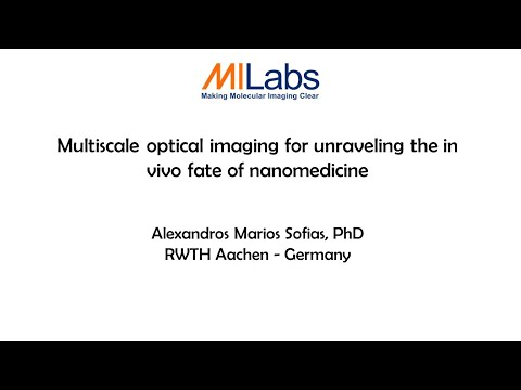 Multiscale optical imaging for unraveling the in vivo fate of nanomedicine