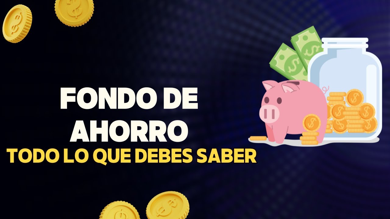 BUSINESS SAVINGS FUND. HOW DOES IT WORK? EVERYTHING YOU NEED TO KNOW