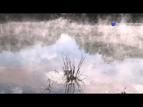 The Water Cycle Explained Fun Science facts