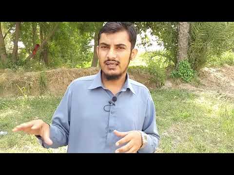 Web Designing Pro Tips In Urdu | Professional Web Designer | Web Page Design Tips Tutorials In Hindi