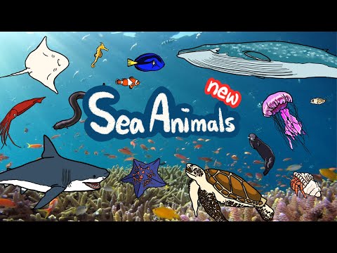 NEW Sea animals | What kind of animals lives under the sea? | Kids Draw