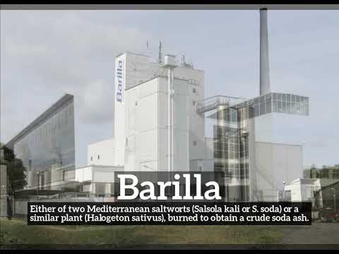 What is Barilla? | How Does Barilla Look? | How to Say Barilla in English?