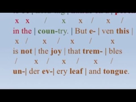 Meter and Meaning in "Song" by Jane Kenyon