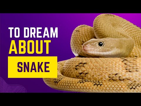 What does it mean to Dream about SNAKE? Discover the dream meaning and dream interpretation