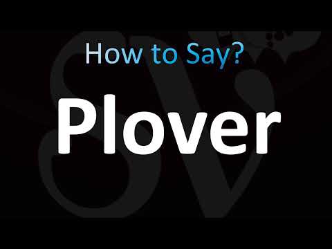 How to Pronounce Plover (CORRECTLY!)