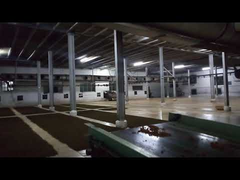 Black Tea Fermenting Room 2020