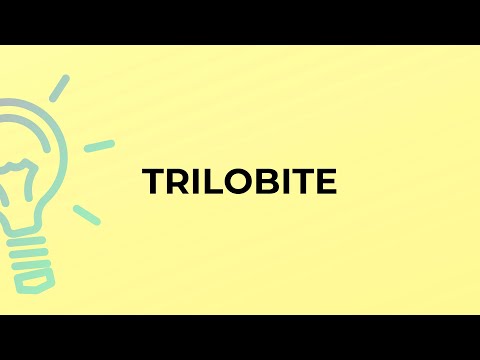What is the meaning of the word TRILOBITE?