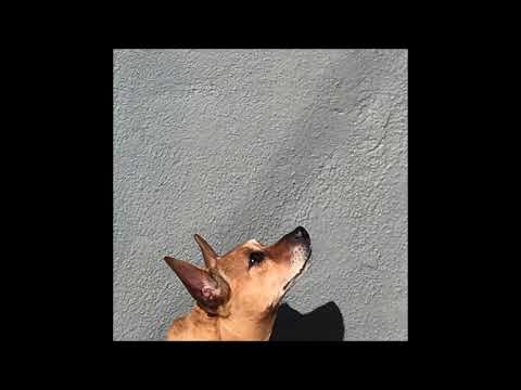 Scott James - fun
