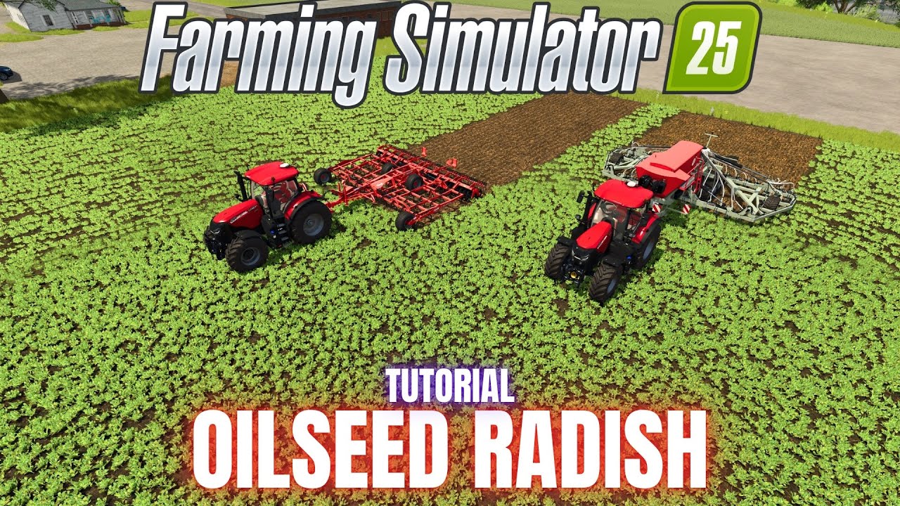 Oil Radish in FS25: A Budget-Friendly Fertilization Method - FS25
