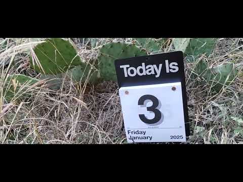 Today is January 3. Daily Calendar At-A-Glance with cactus