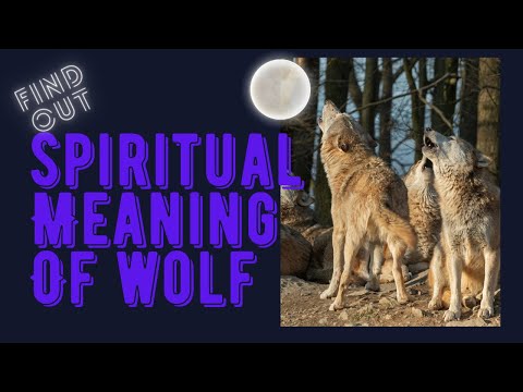 Spiritual meaning of Wolf Moon. What Does It Means To Have The Wolf As Your Spirit Animal?2023 Video