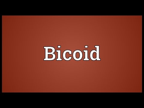 Bicoid Meaning