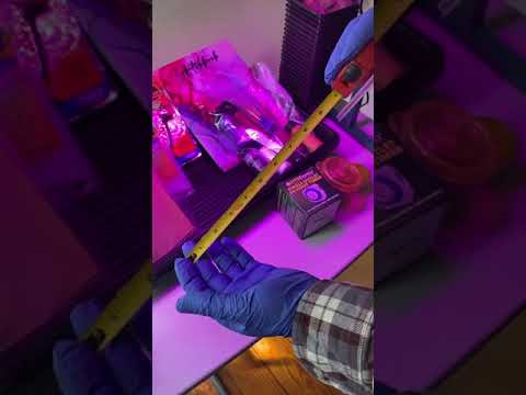 Measuring Tape 10 feet long